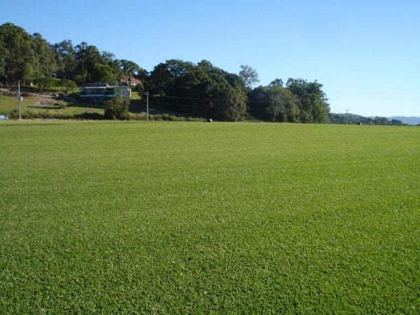 Palmetto | Instant Lawn Turf Suppliers in Melbourne