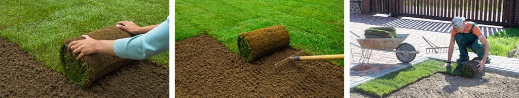 Buffalo Lawn Installation and Aftercare | Instant Lawn Turf Suppliers ...