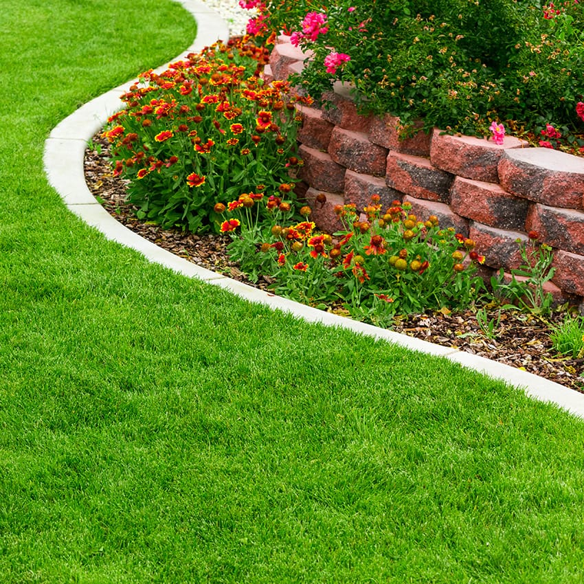 Instant Lawn Turf Suppliers in Melbourne
